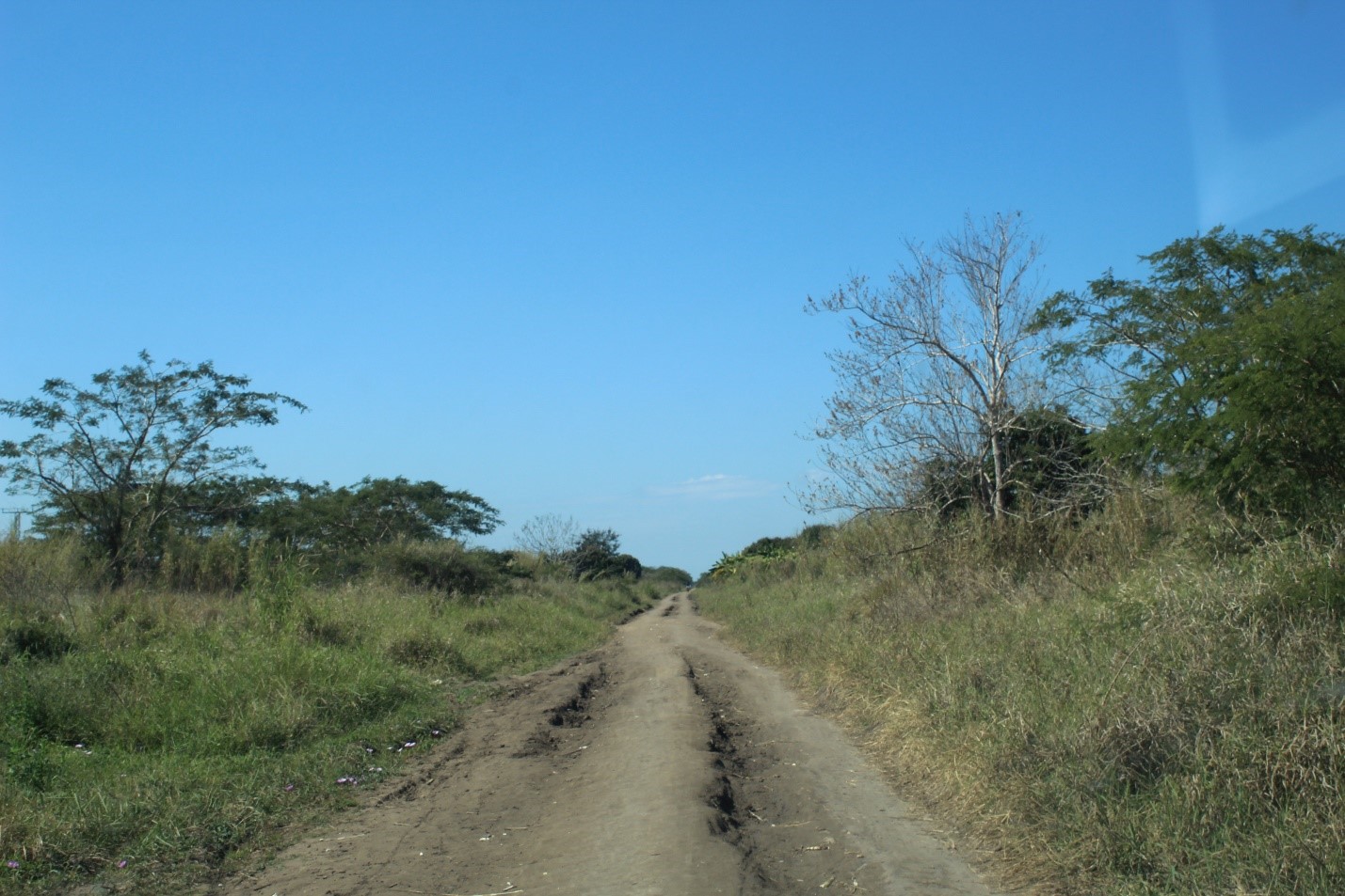 Rising from the Depths » Heritage at risk in Chinde, Mozambique